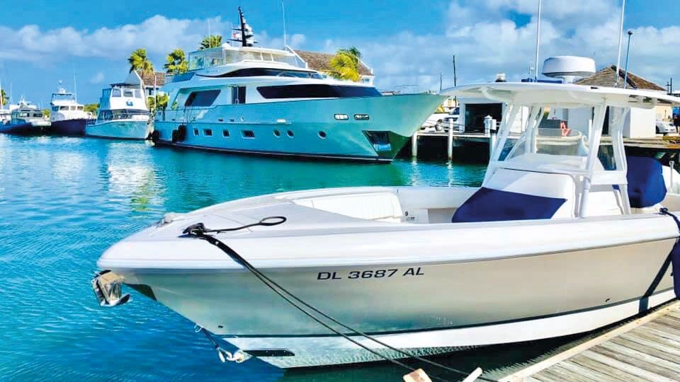 South Bank Marina - Superyacht Marina | Dockwalk